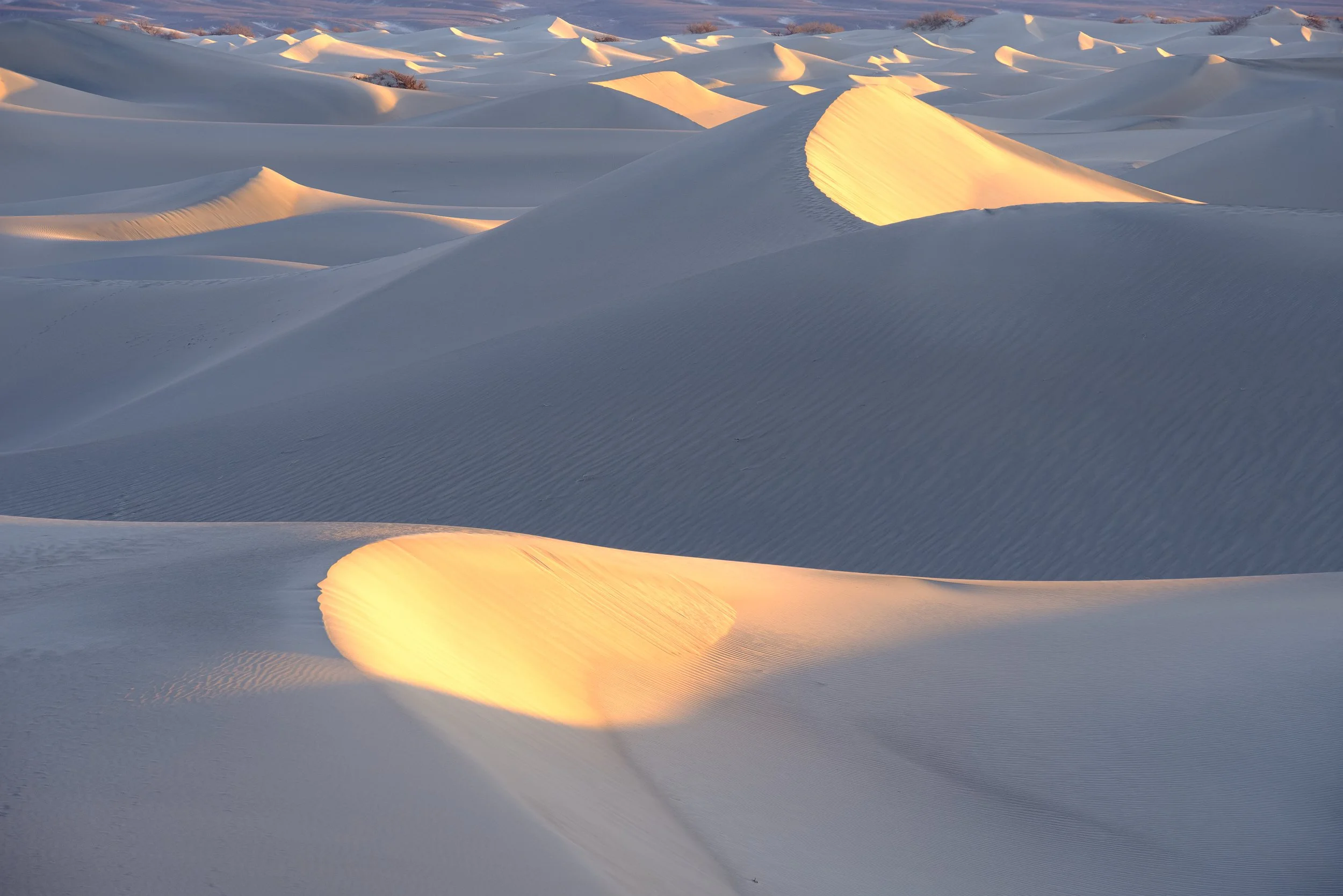 Compelling Imaging - Photography