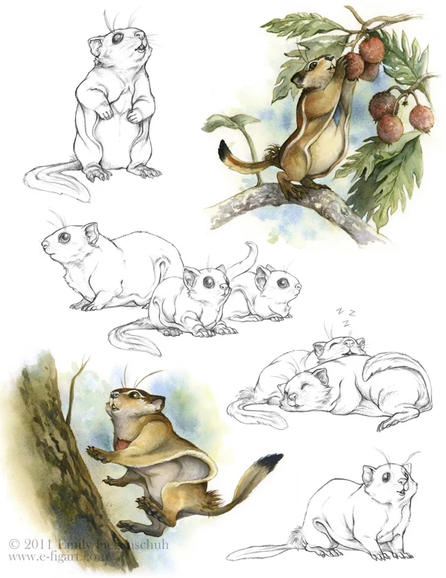 The Explorer's Guide to Drawing Fantasy Creatures — e-figart.com