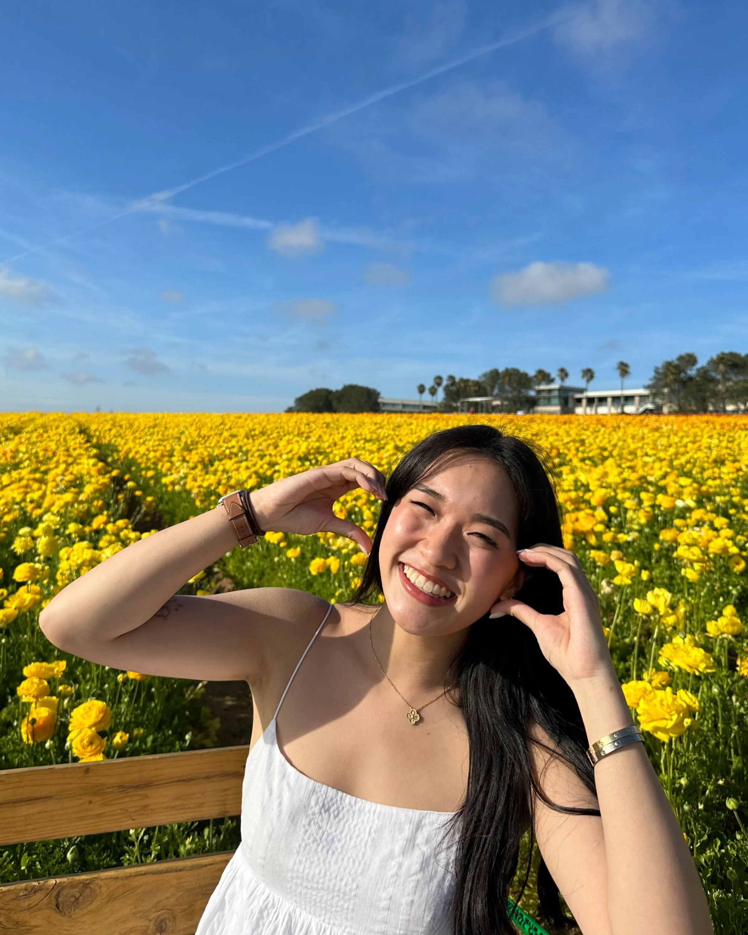 Alyssa Cheung — ΔEM