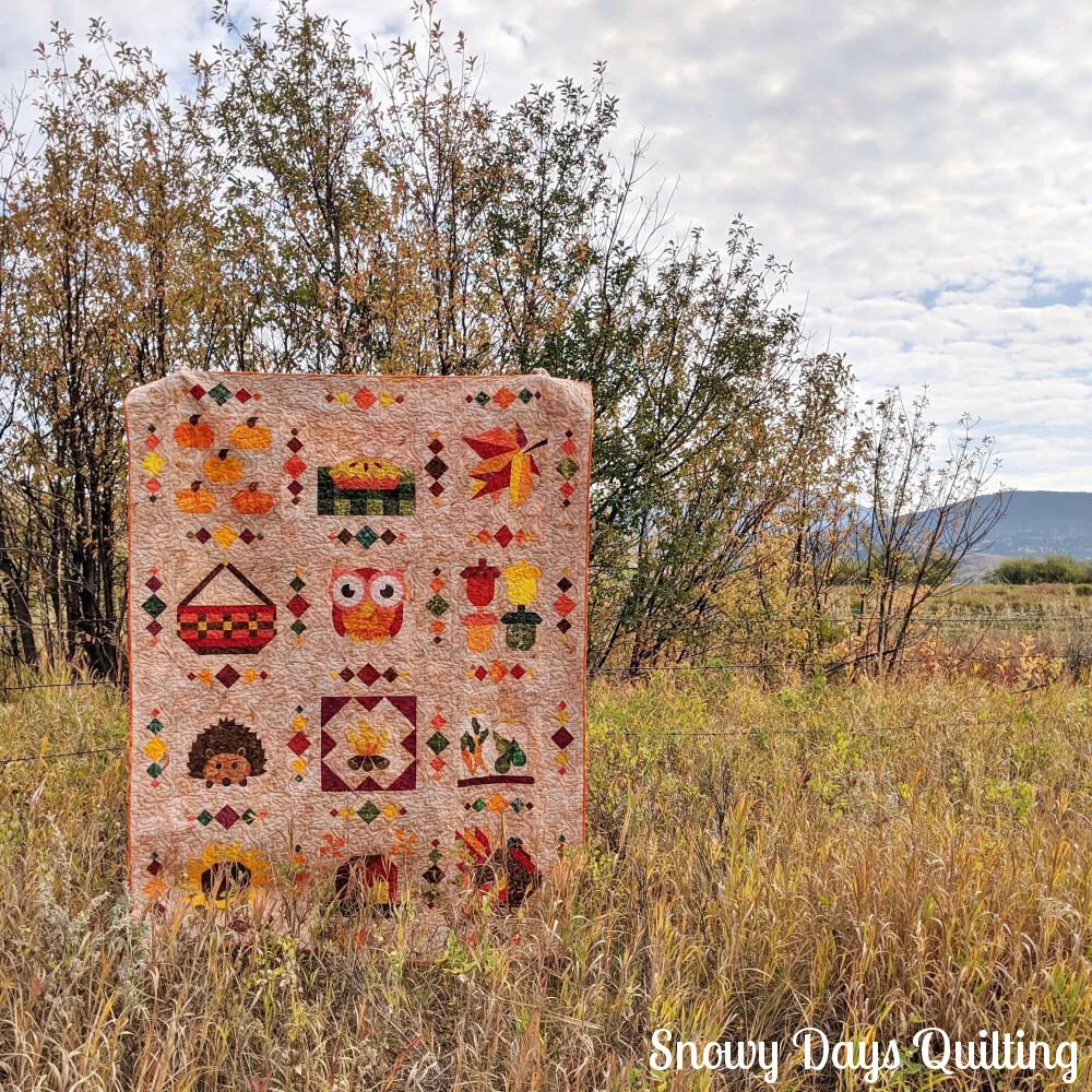 Diamond Sampler Setting — Snowy Days Quilting