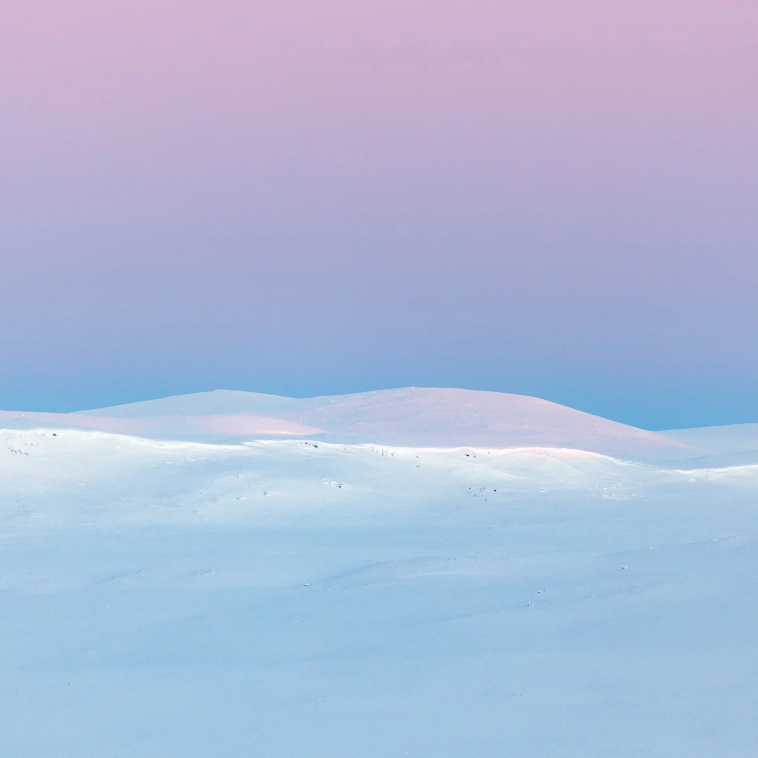 Tiina Törmänen Photography