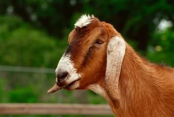 About Heavenly Scents Products — Just Heavenly!