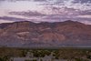 Montane Grassland and Shrubland — Ecology Pocket Guide