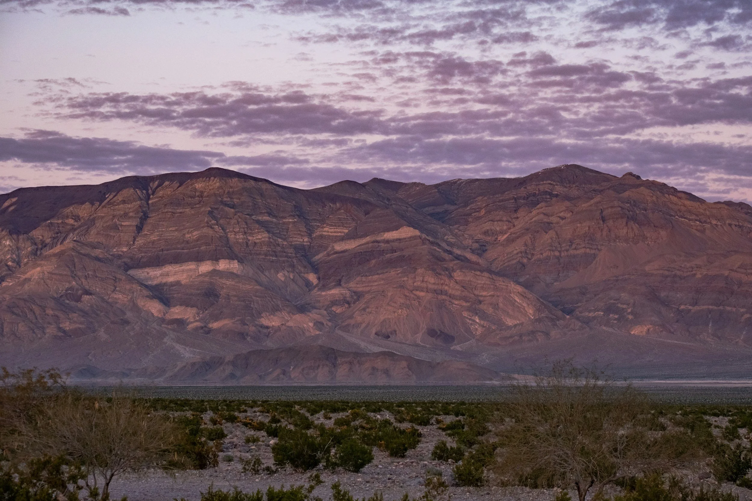 Montane Grassland and Shrubland — Ecology Pocket Guide