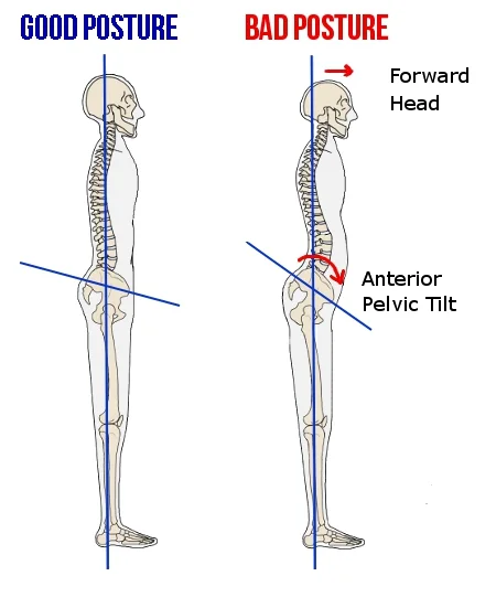 Linking Movement Variability and Movement Optimization ...