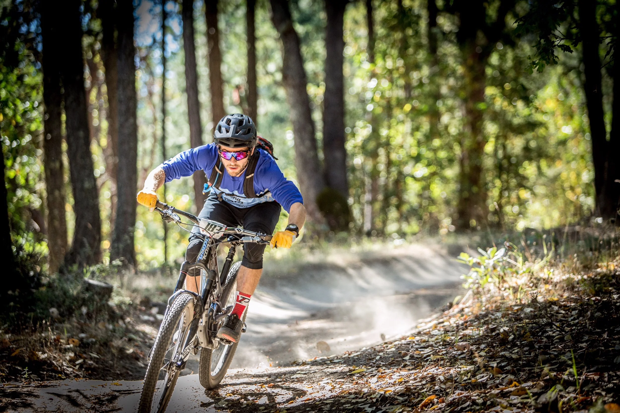 Derek Teel — Dialed Health