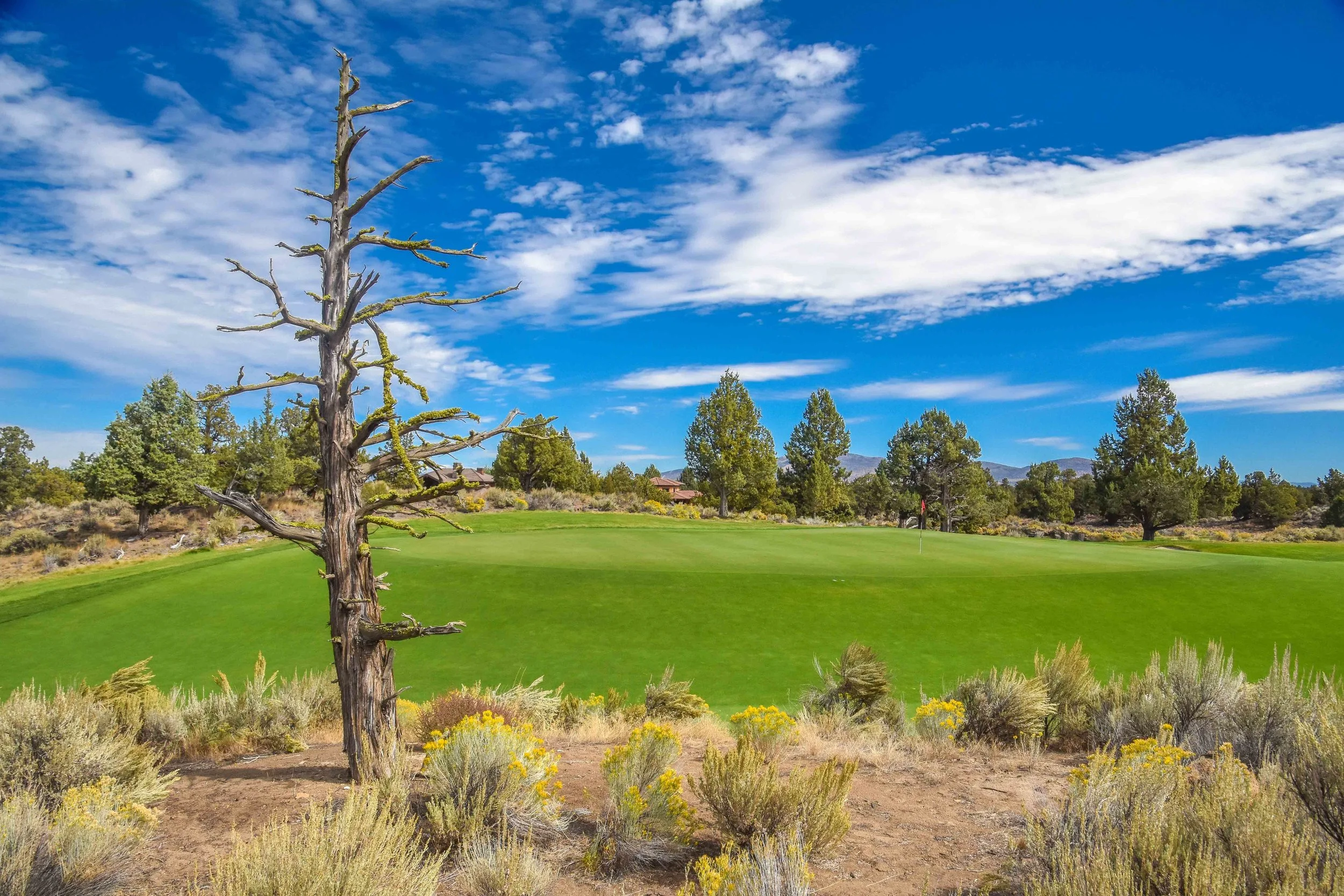 Pronghorn - Nicklaus — PJKoenig Golf Photography