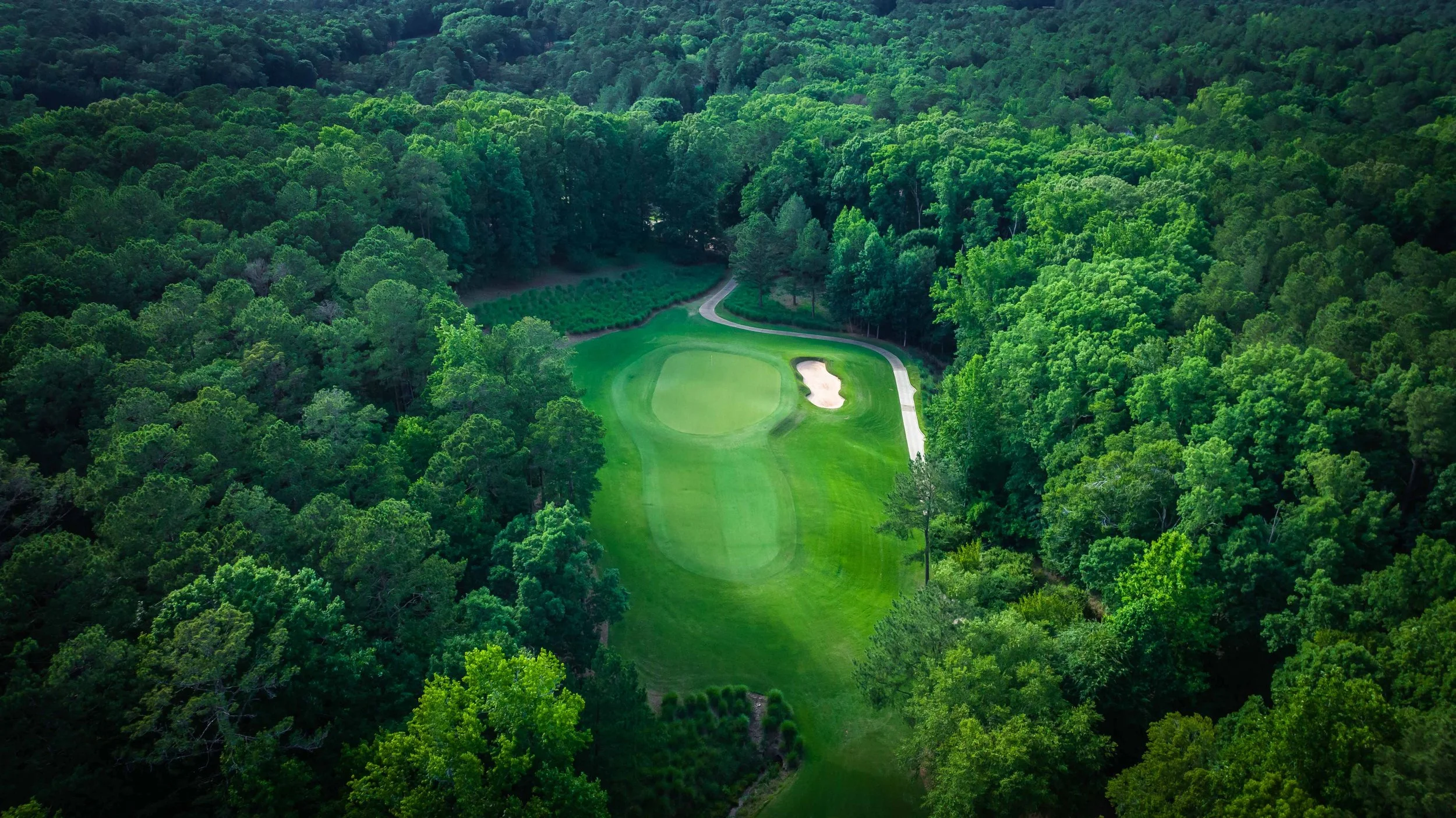 Reynolds - The National — PJKoenig Golf Photography PJKoenig Golf ...