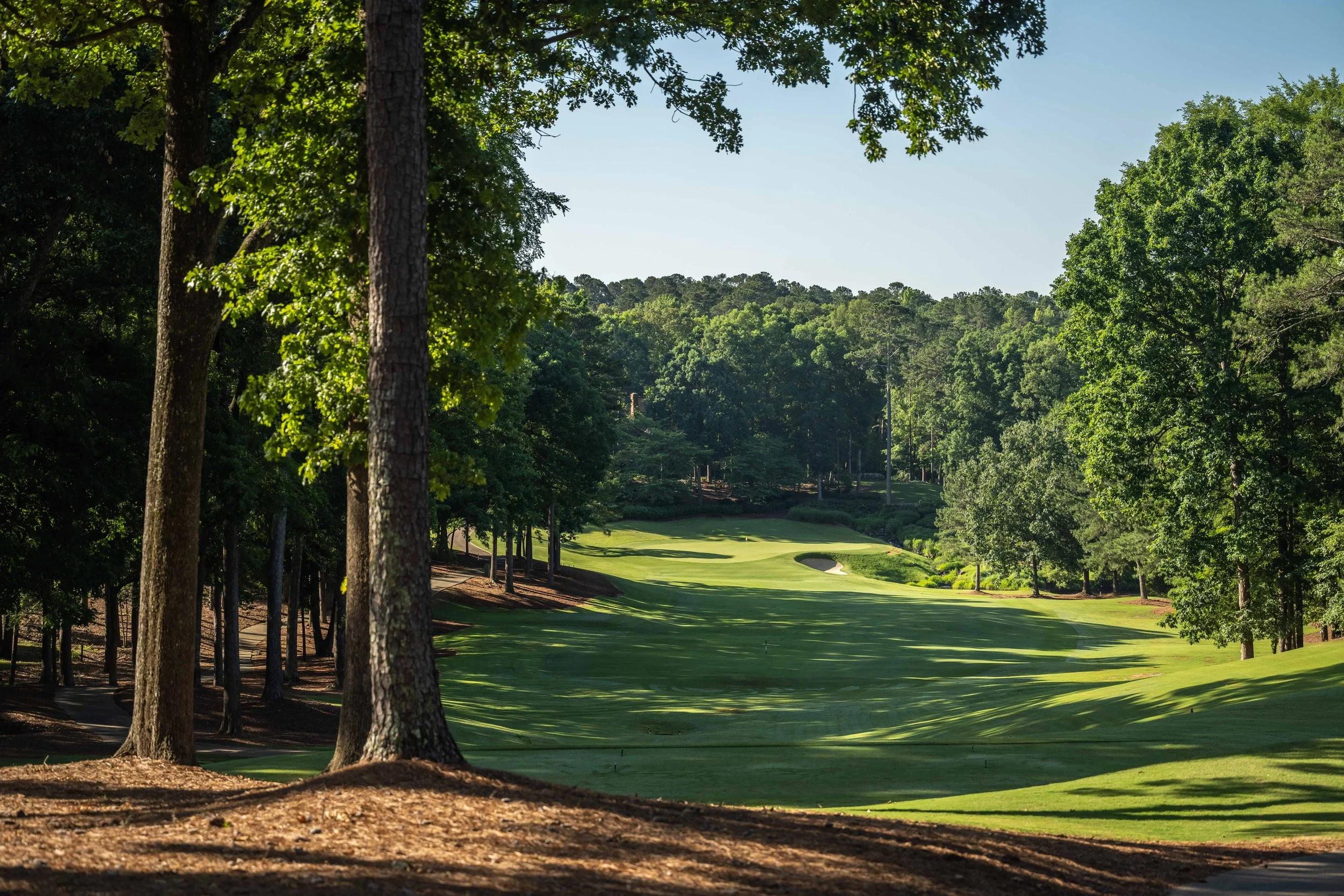 Reynolds - The Preserve — PJKoenig Golf Photography PJKoenig Golf ...