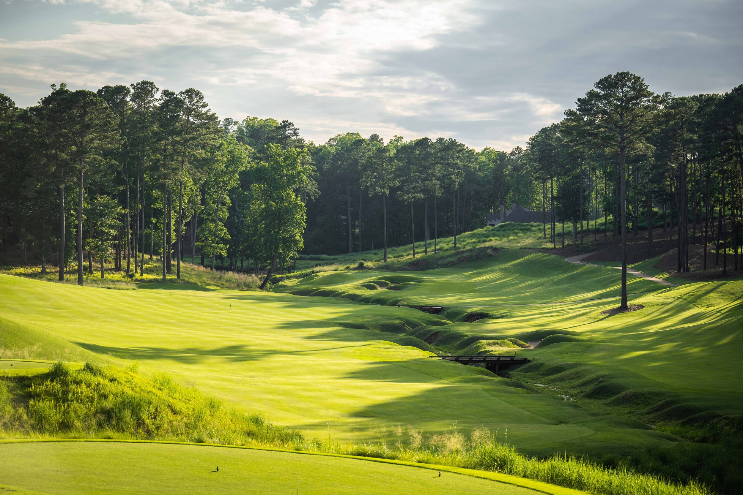 Reynolds - Creek Club — PJKoenig Golf Photography