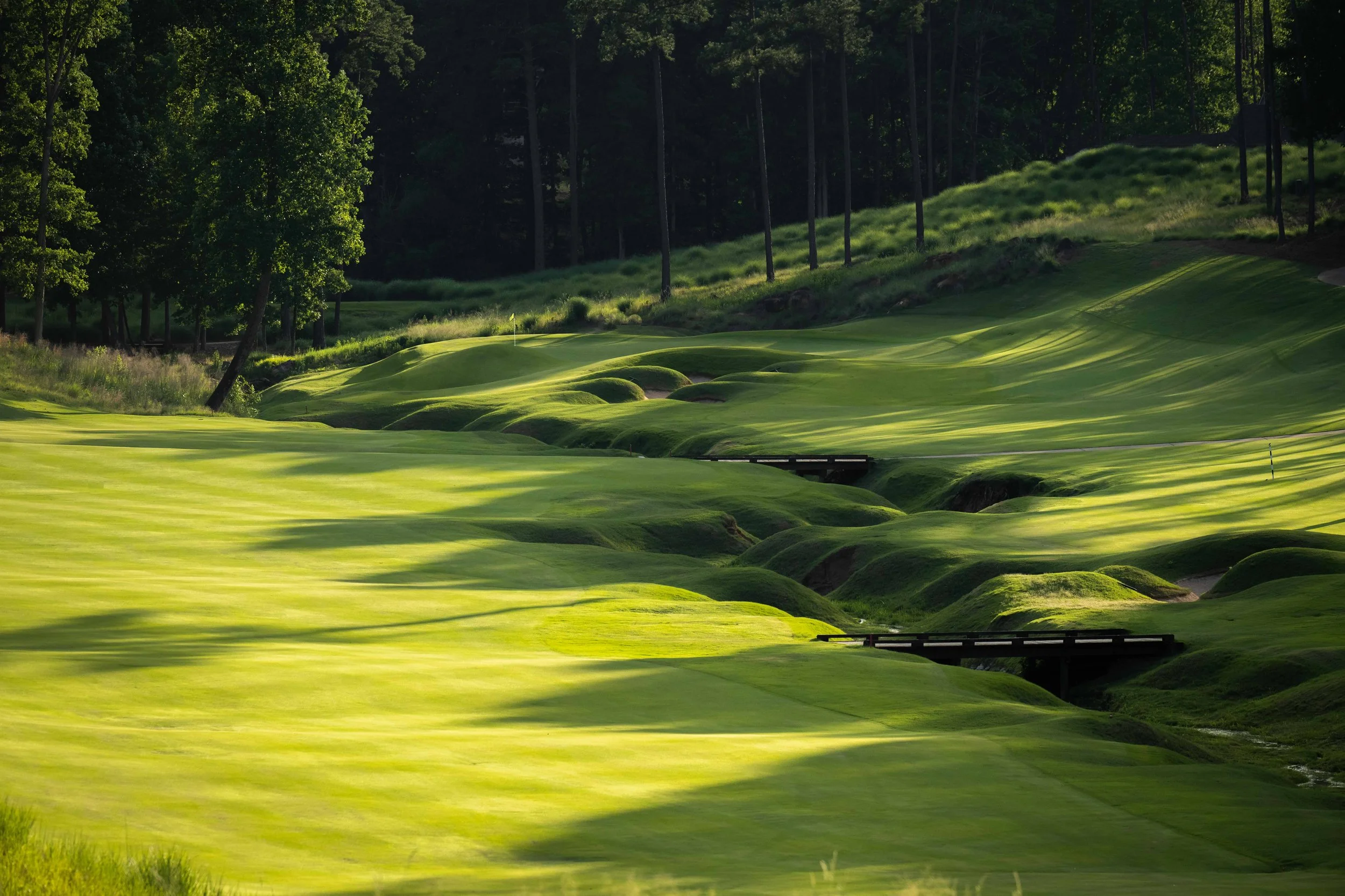 Reynolds - Creek Club — PJKoenig Golf Photography