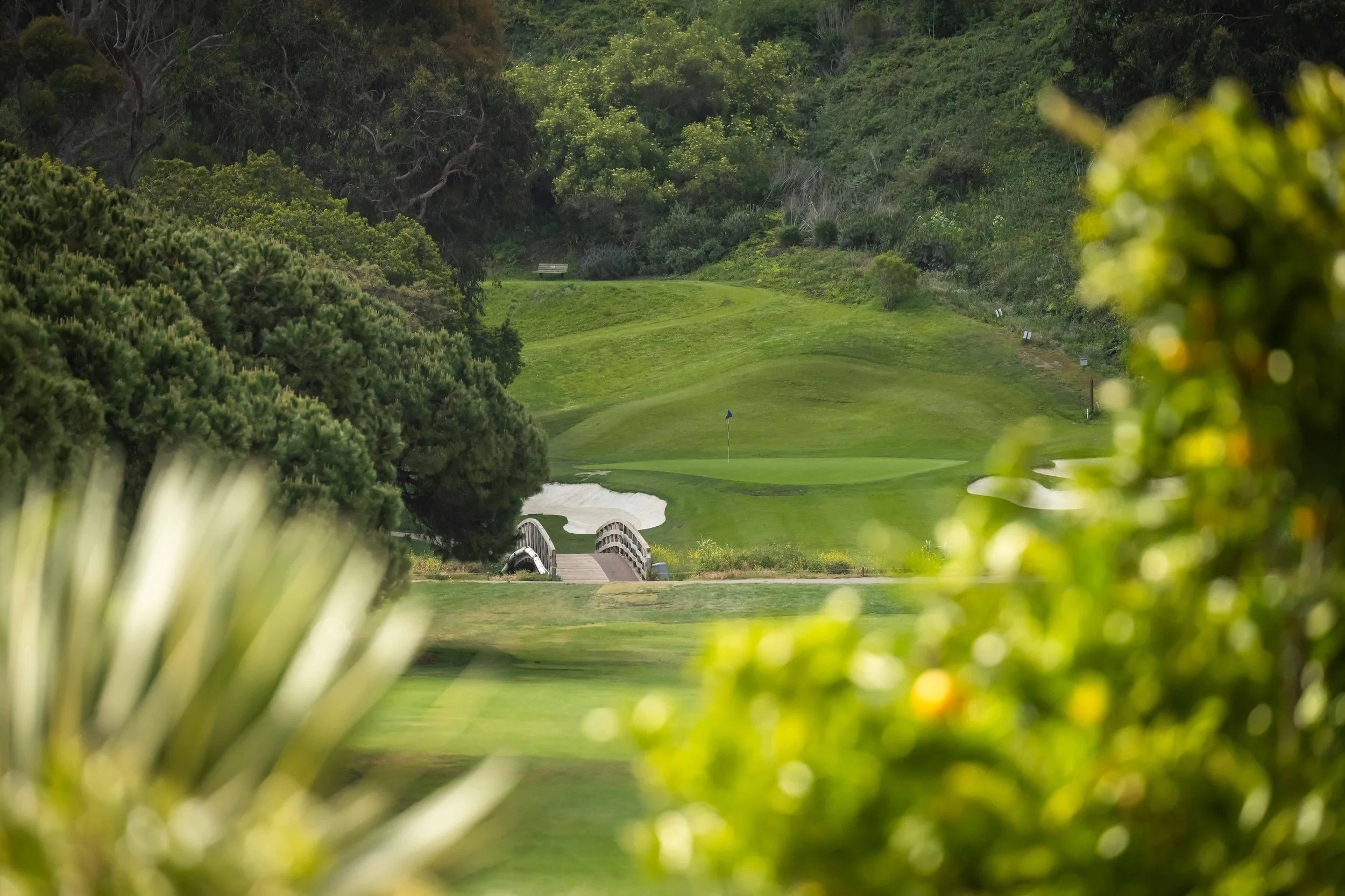 The Official Guide to Public Golf in Orange County — PJKoenig Golf ...