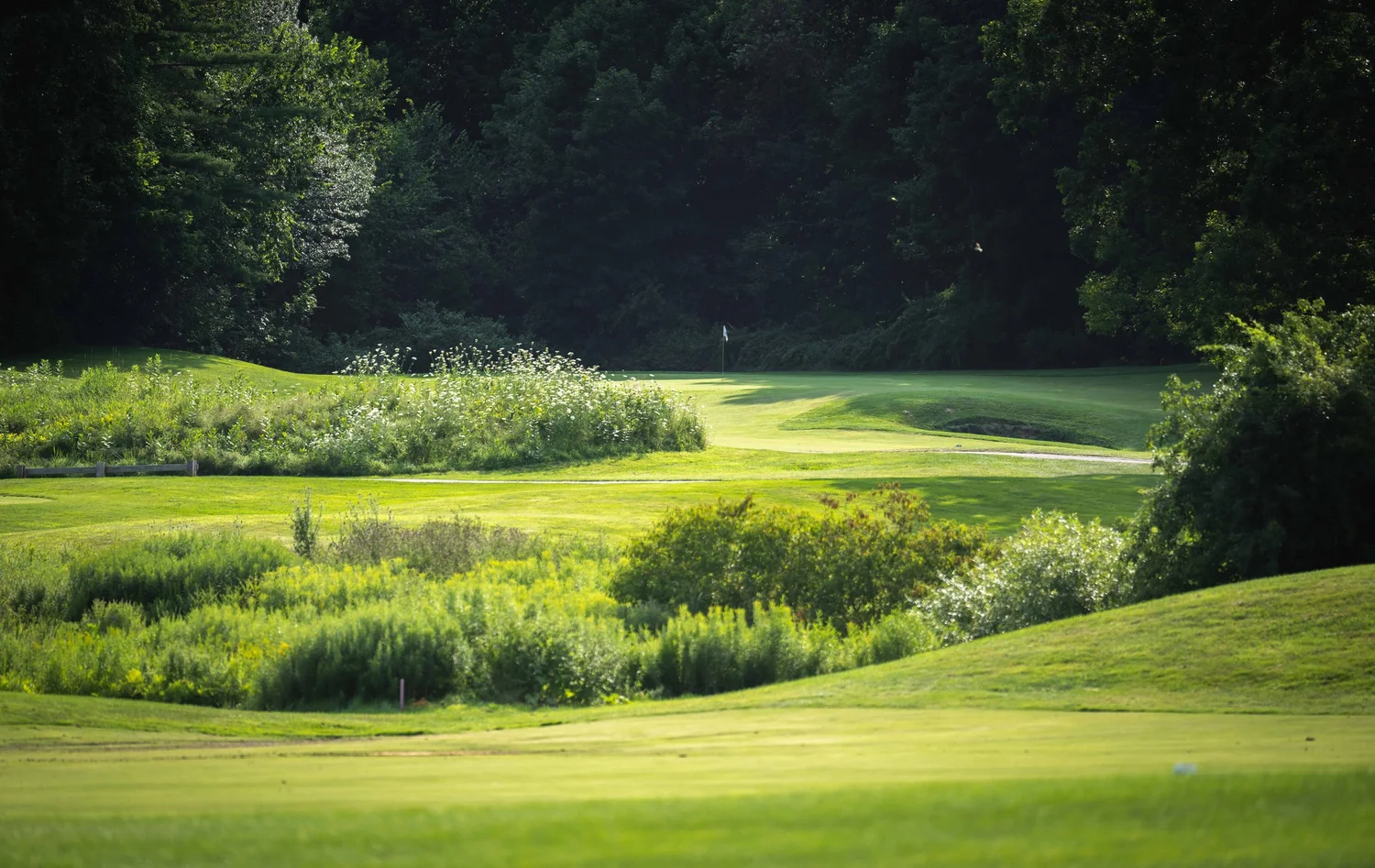 Maine — PJKoenig Golf Photography