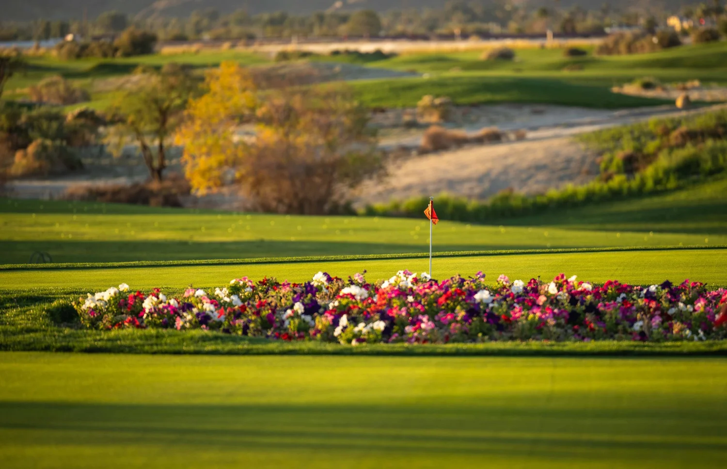 Arizona Golf Photography | Patrick Koenig Golf Photographer — PJKoenig ...
