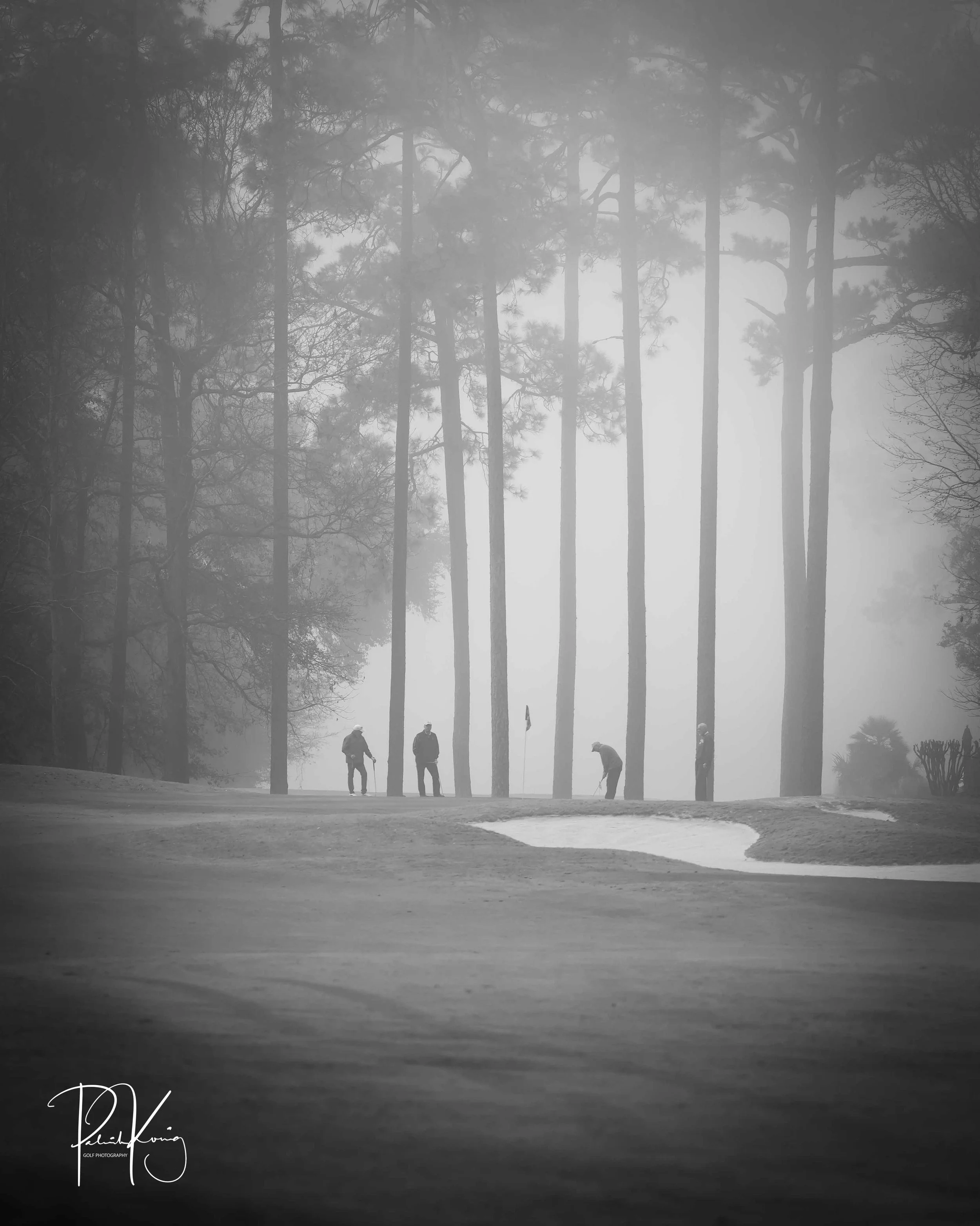 Golf Guide to Hilton Head Island — PJKoenig Golf Photography
