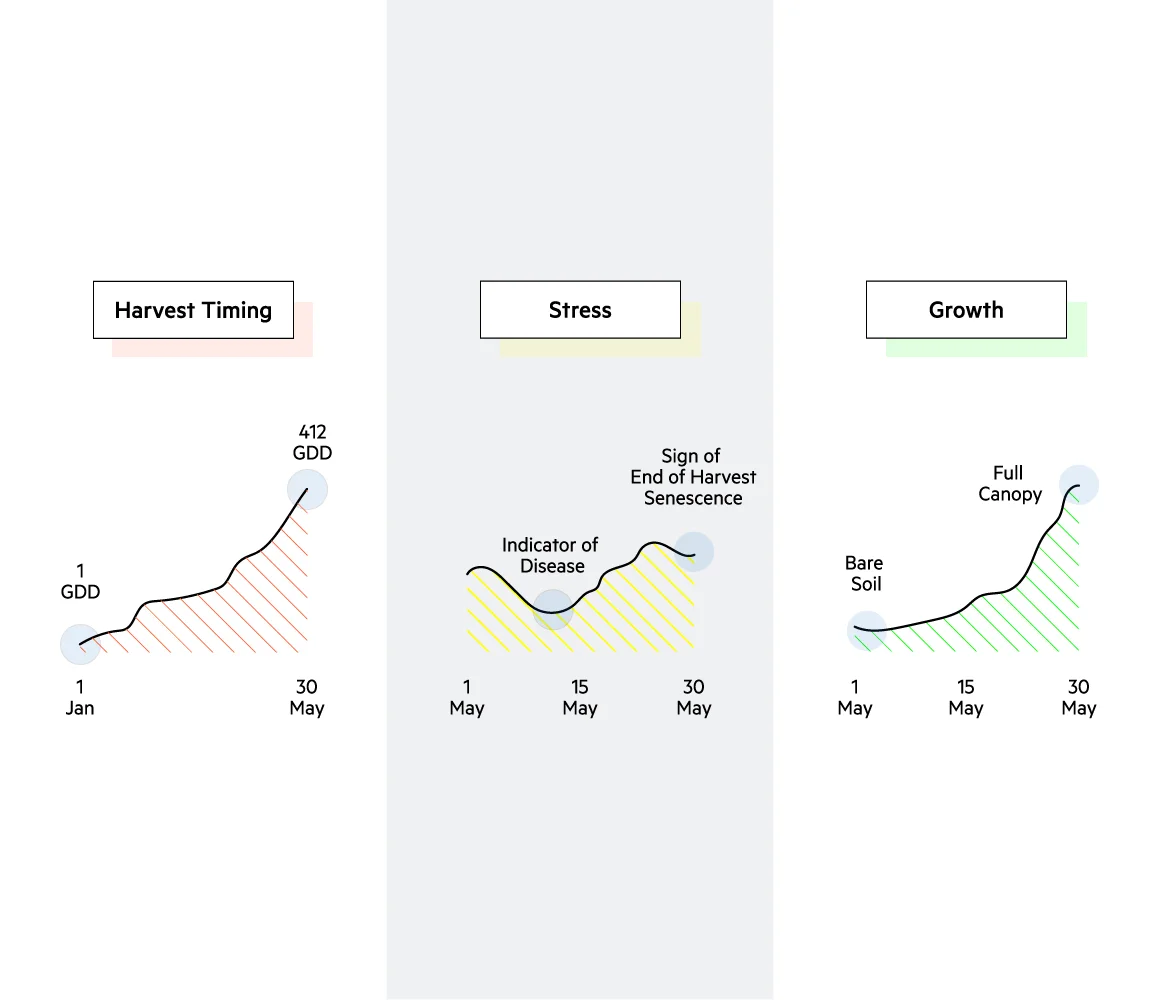 BYRON C LEE - ARABLE MARK