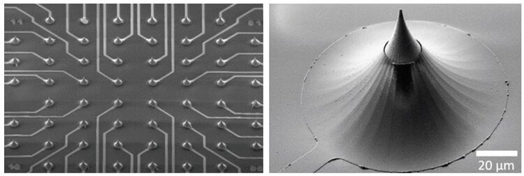 Conductive microelectrode array for potential applications in cancer ...