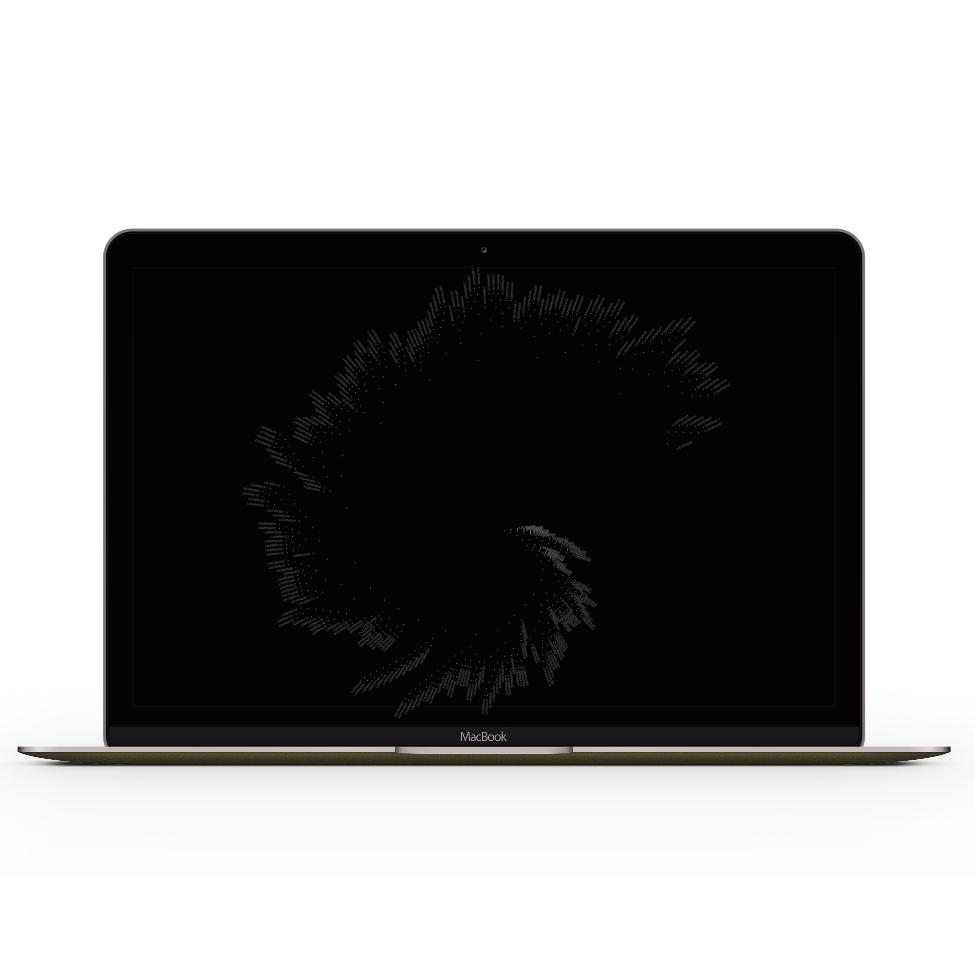 About Igenbio — Igenbio