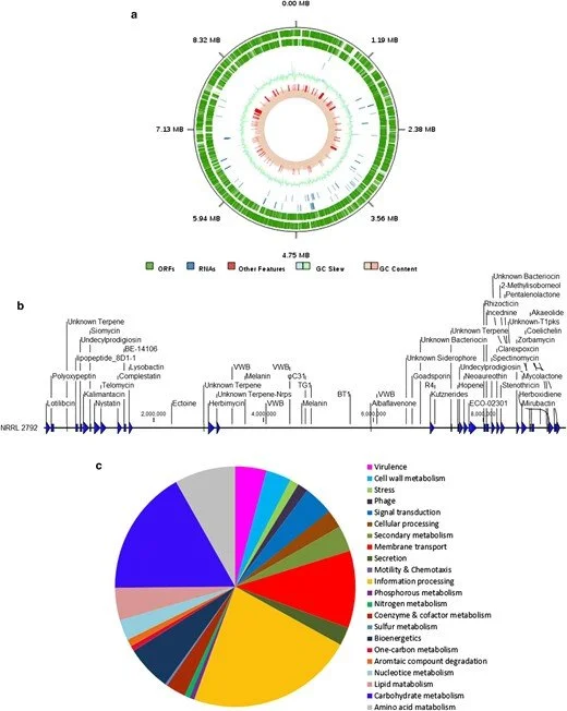 Bioremediation — Igenbio