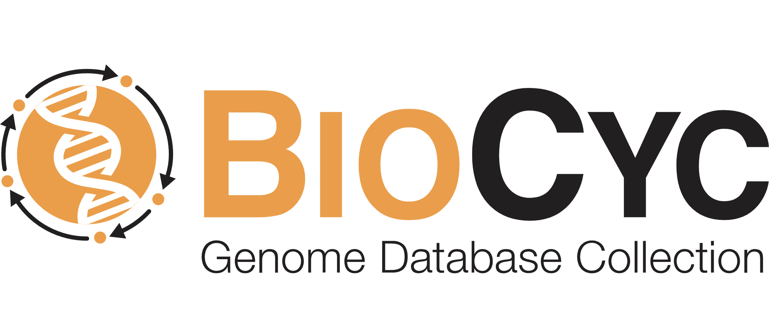 ERGO 2.0 Overview — Igenbio