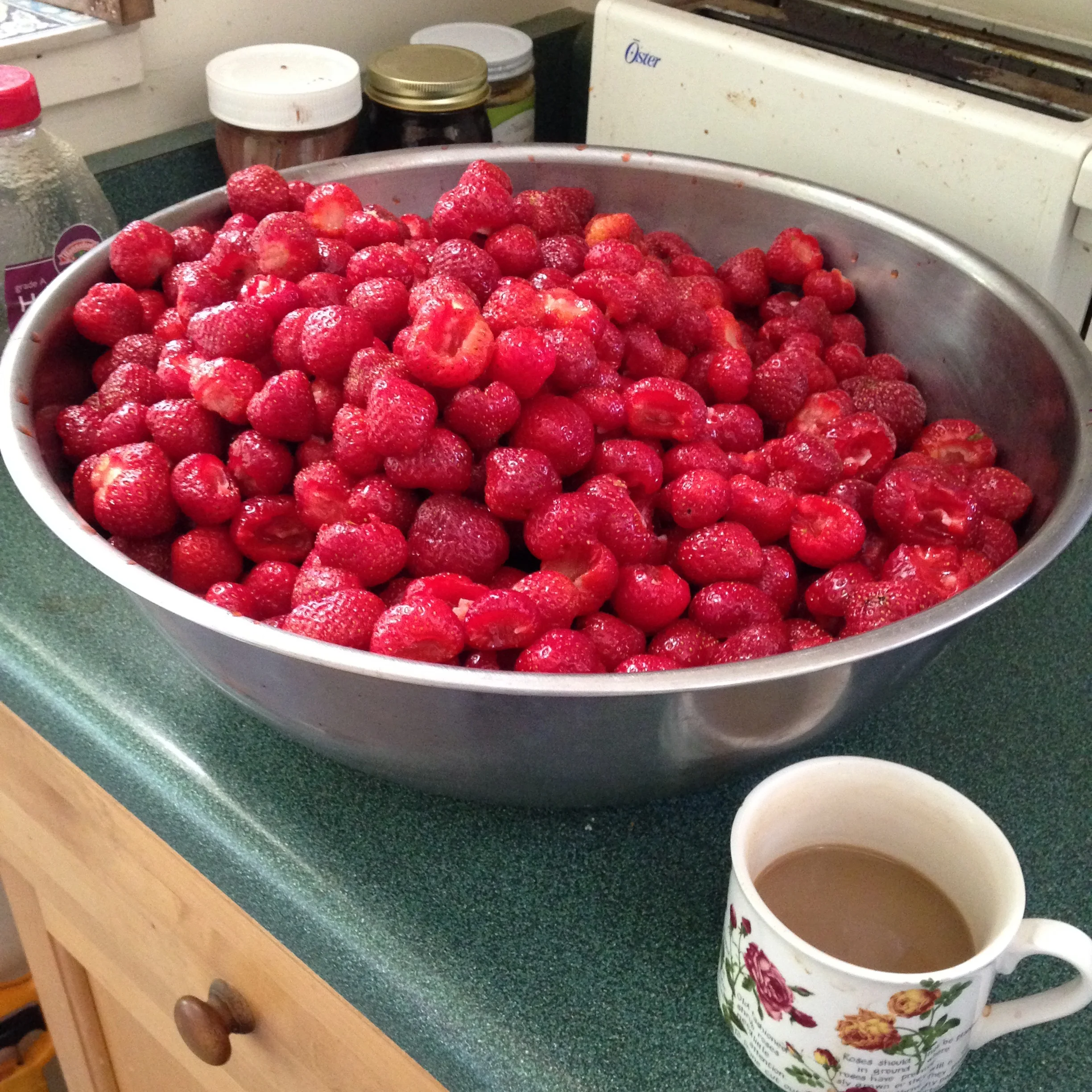 Strawberry Jam Michelle Shocked