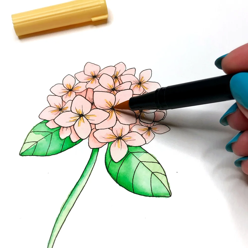 how to draw flowers using watercolor