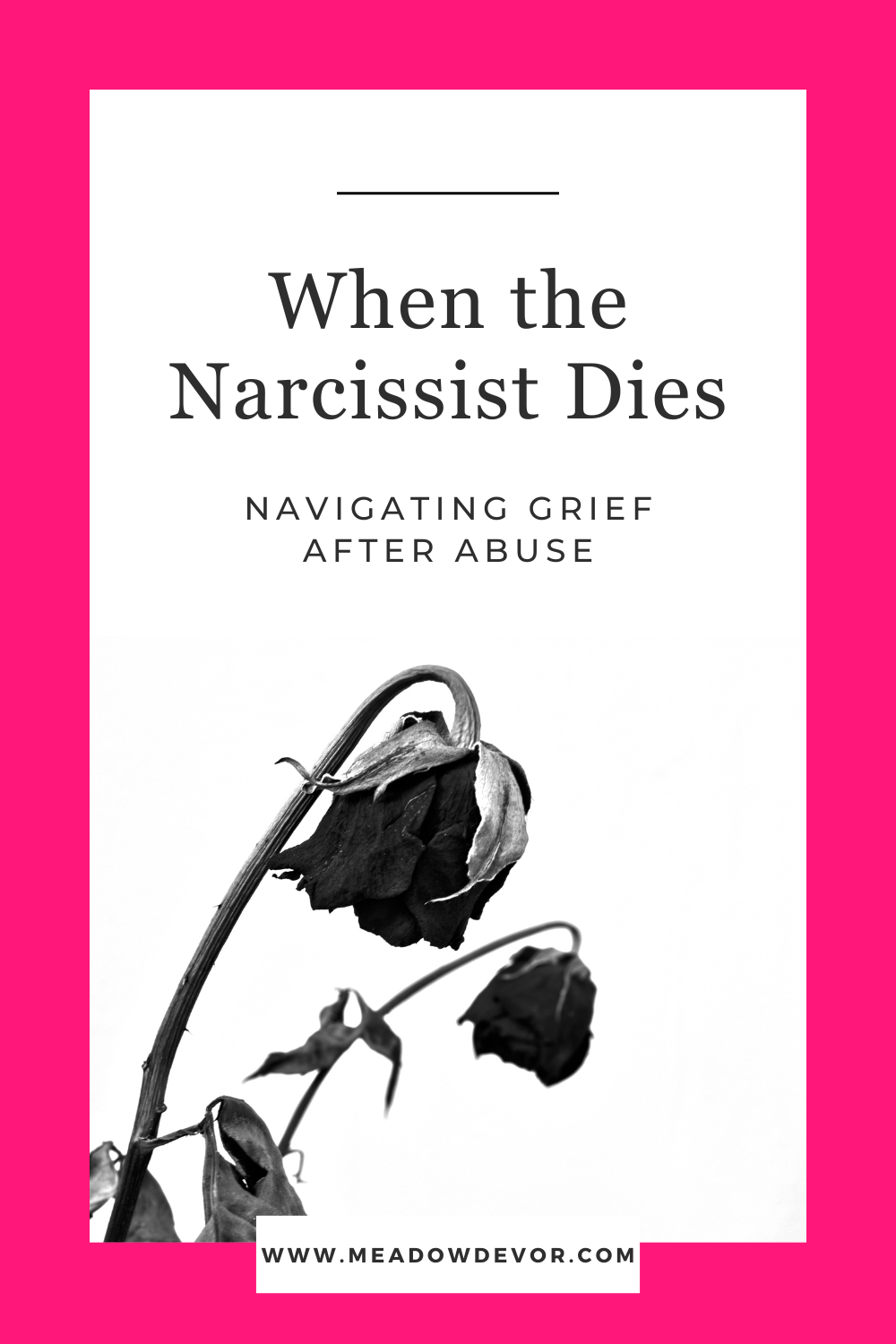 Blog — Meadow DeVor