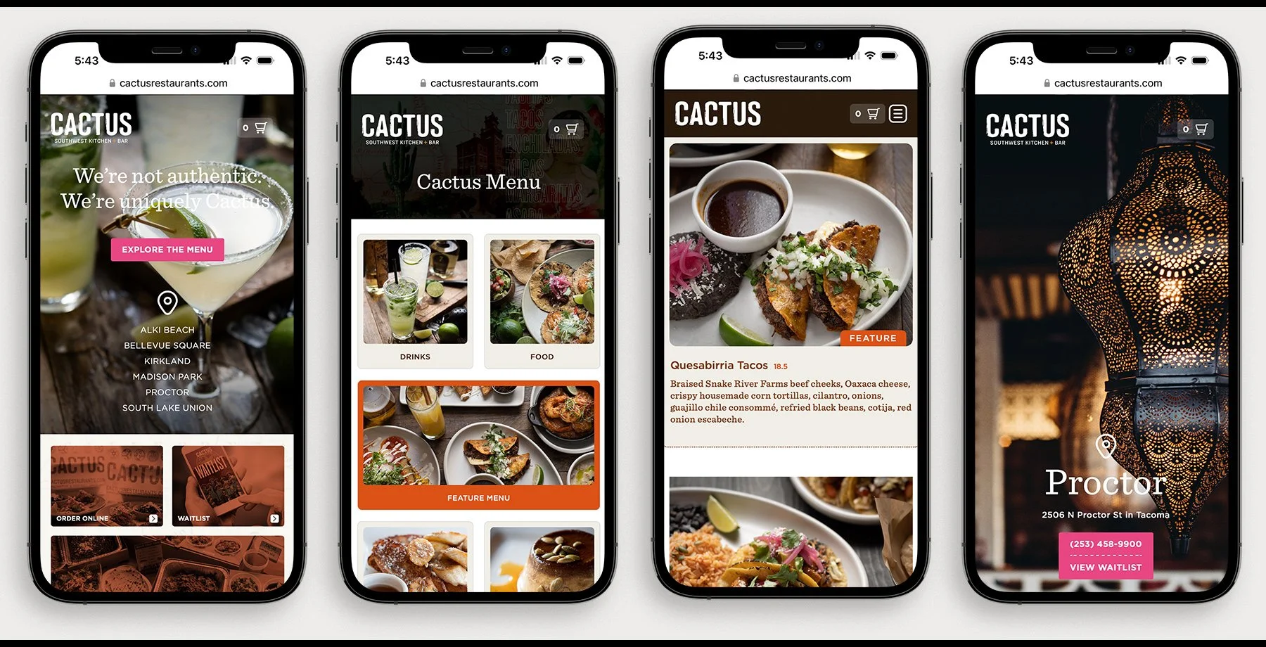 LookatLao Studio : Cactus : Seattle