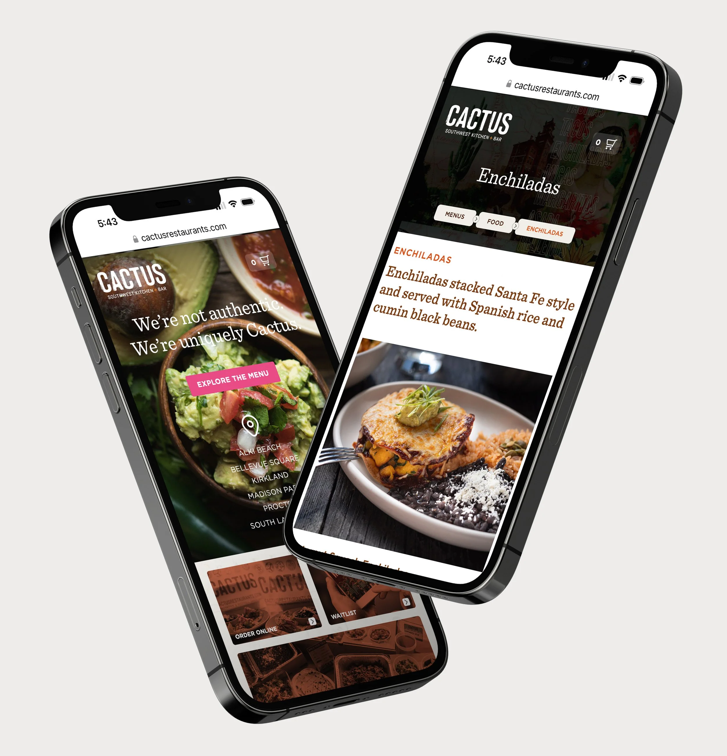 LookatLao Studio : Cactus : Seattle