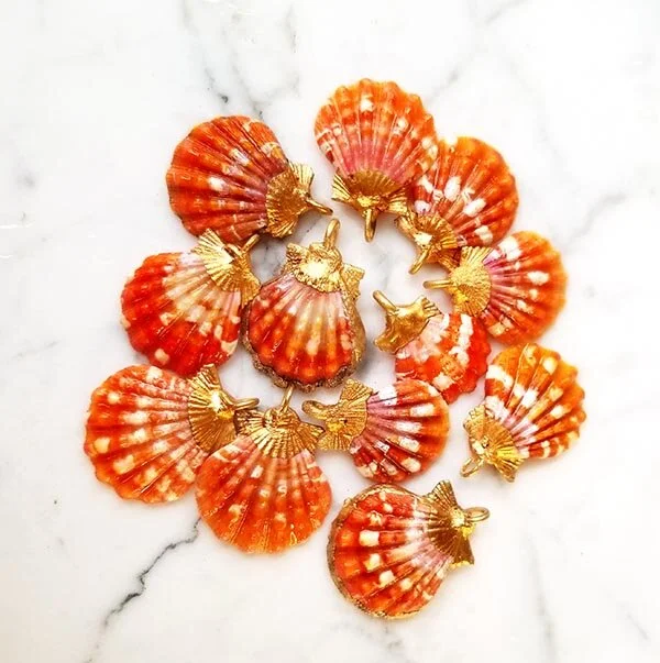 Sunrise Shell Necklaces from Hawaii — Flotsam & Co.