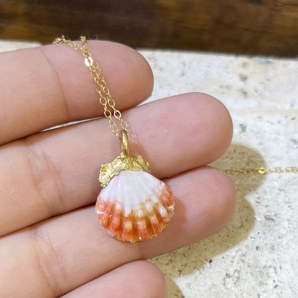 Sunrise Shell Necklaces from Hawaii — Flotsam & Co.