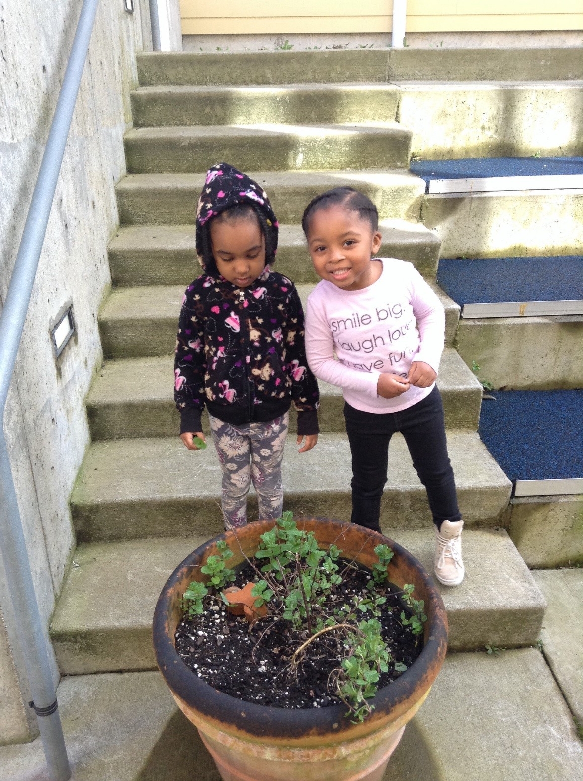 Enrollment — First Place