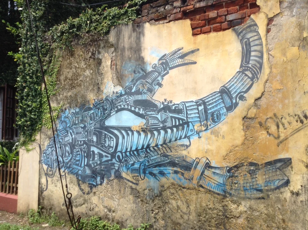 Street Art Showcase // Graffiti in Fort Kochi, India — The Scout Project