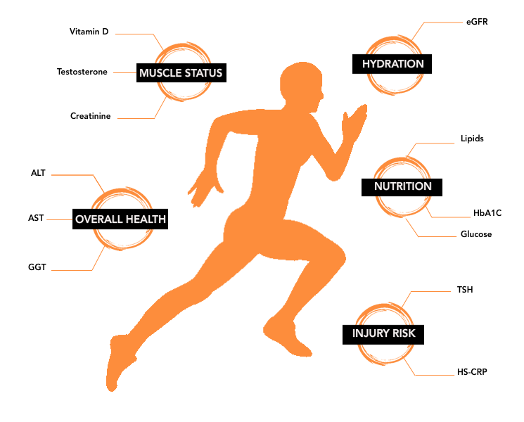 Blood Test for Athlete Nutrition, Fitness and Performance | DEXA Scan ...
