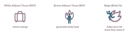 Hydrostatic Weighing - Body Composition | DEXA Scan Near Me