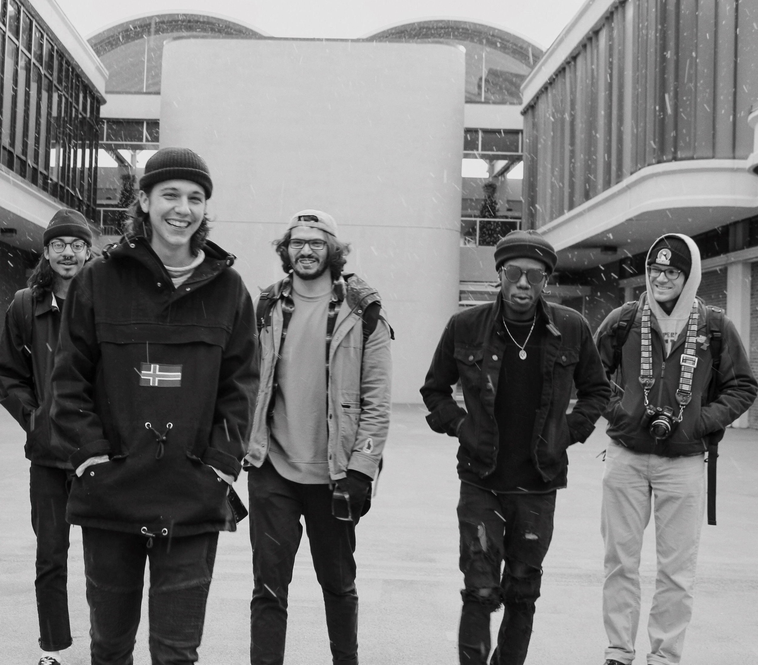 Observing a Gang of Wolves — Life's Goods