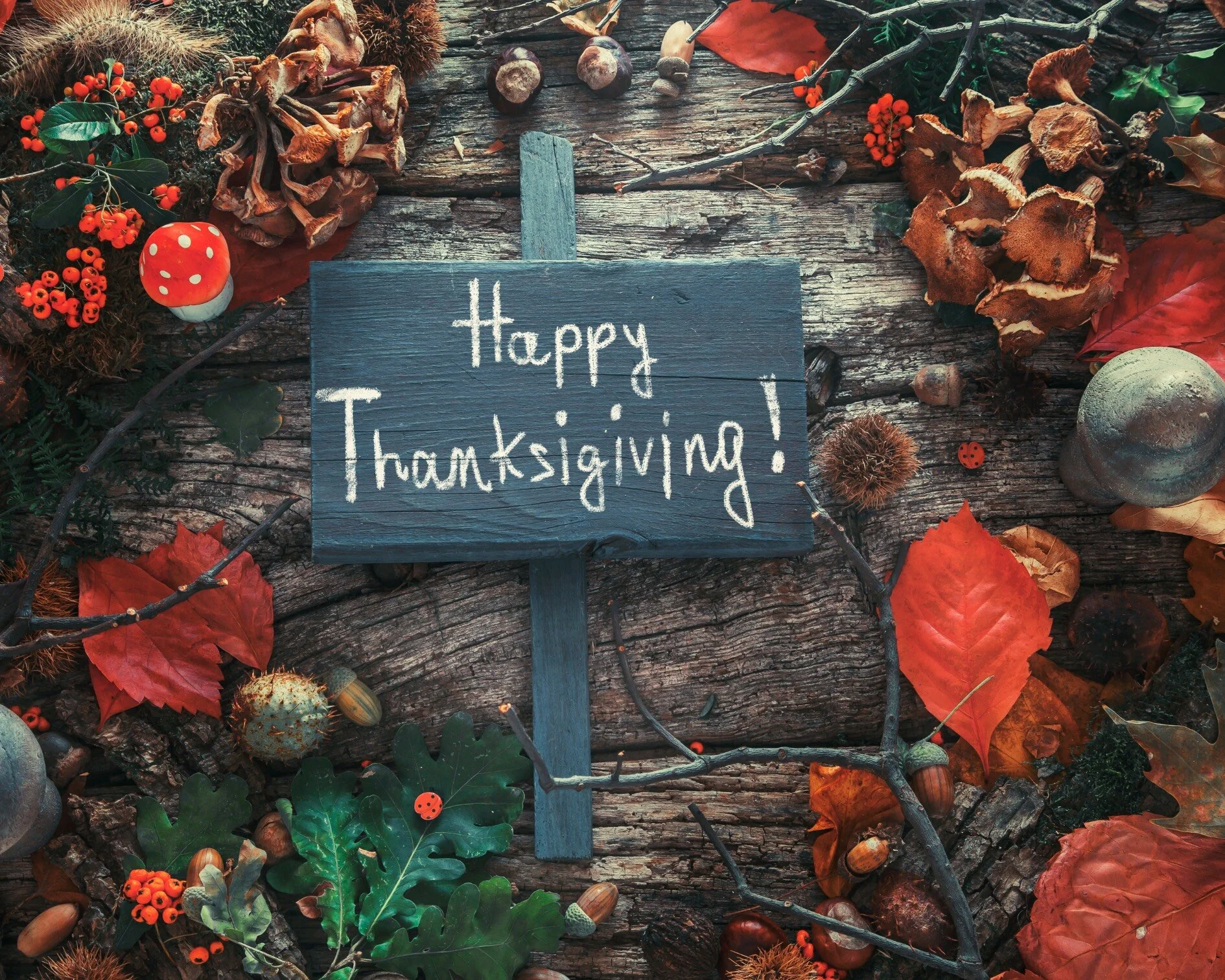 BLOG — The Ashwood