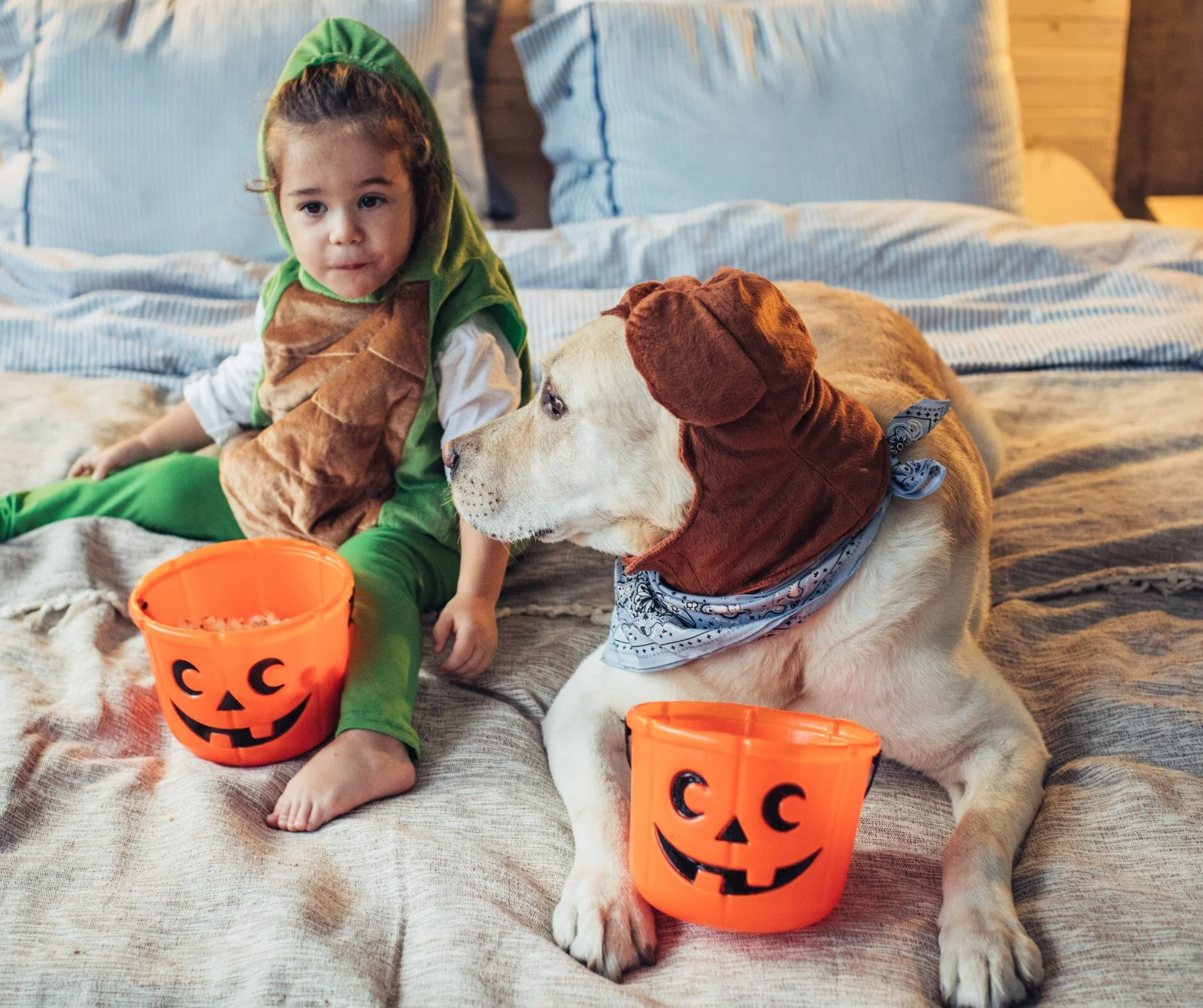 HOW TO ENJOY A COVID SAFE HALLOWEEN — The Ashwood