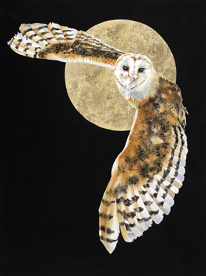 Gallery — Rebecca Kahrs