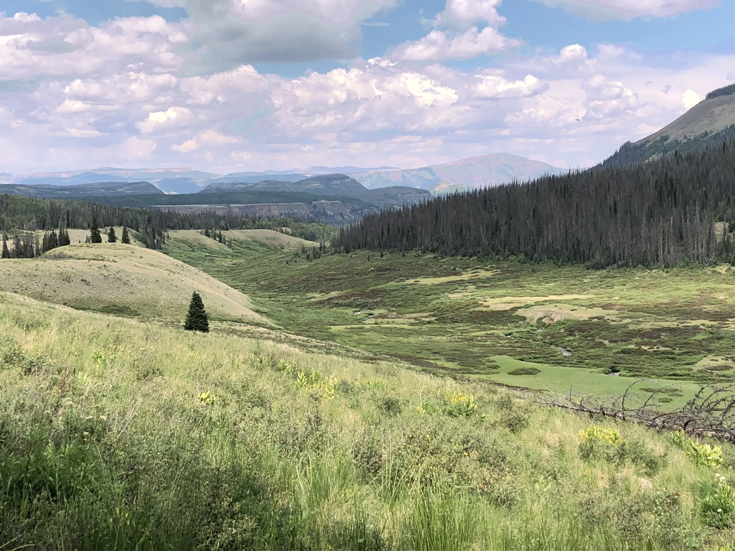 The World According to the Colorado Mountain Club — Outdoor Alliance