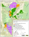 Help Protect Custer Gallatin National Forest | Outdoor Alliance