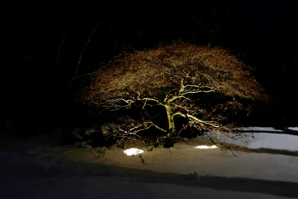 Inspiration — | Luxury Outdoor Lighting Design, Installation & Service