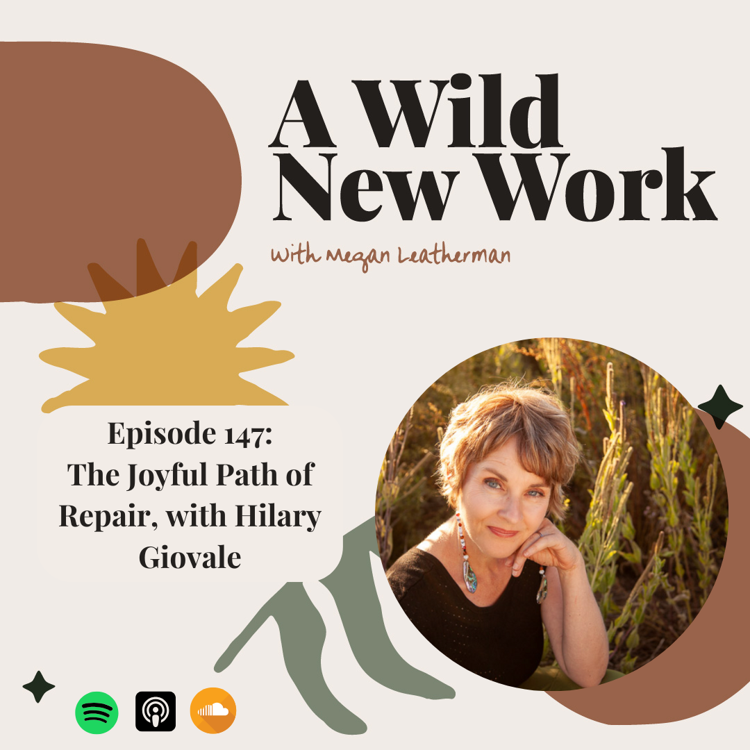 The Joyful Path of Repair, with Hilary Giovale — A Wild New Work