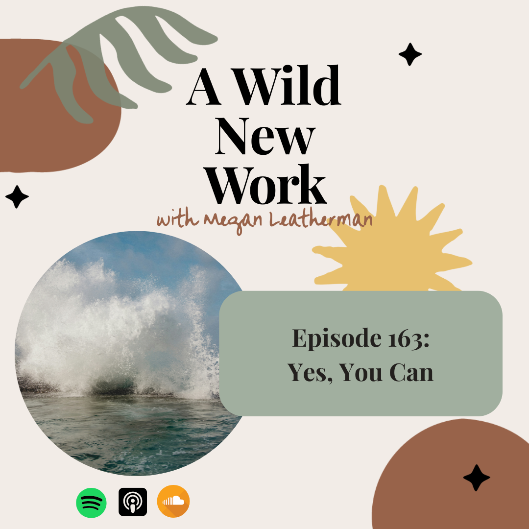 Yes, You Can — A Wild New Work