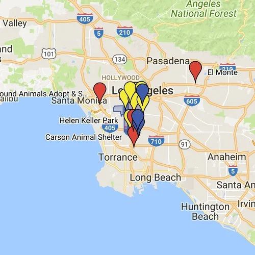 Inicio — Spay 4 LA