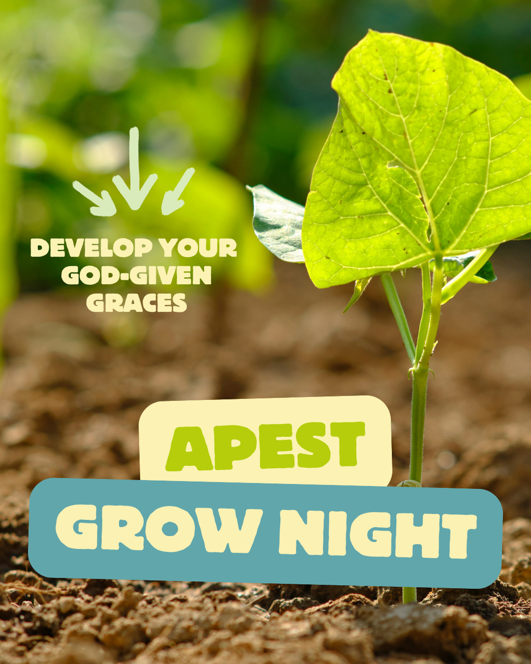 APEST Grow — Rediscover Church