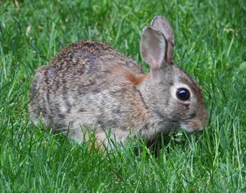 Wander Nature - Nature Blog & Photos