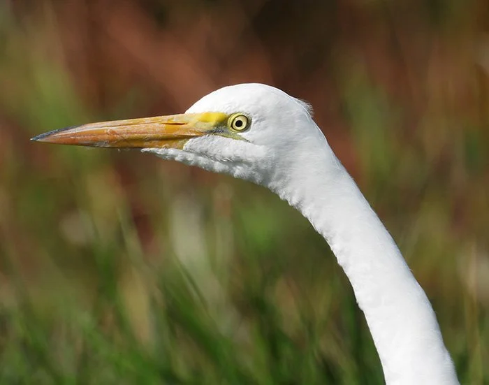 New Photos — Wander Nature