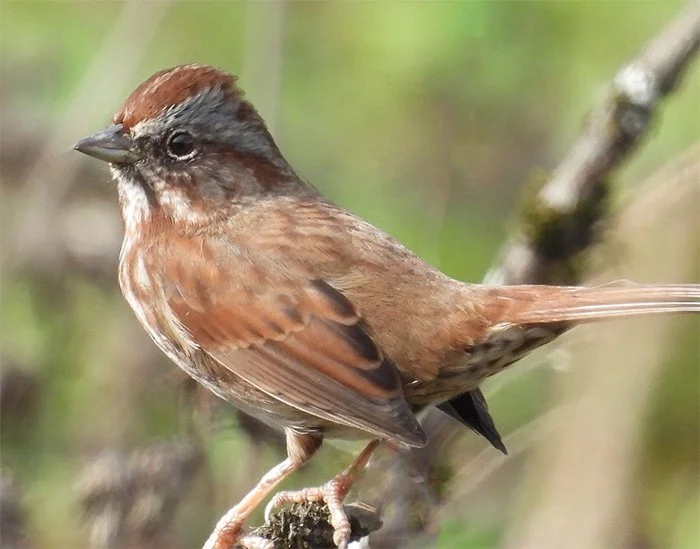 New Photos — Wander Nature