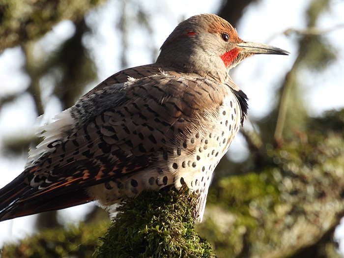 New Photos — Wander Nature